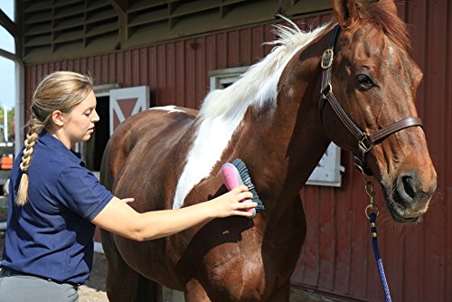 Oster Equine Care Series Horse Grooming Brush, Stiff Bristle, Pink (0-34264-41960-5)