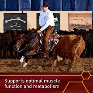 Vita Flex Pro Horse Lactanase Performance Supplement Single Serve Packet