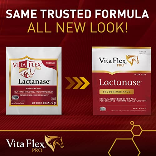 Vita Flex Pro Horse Lactanase Performance Supplement Single Serve Packet