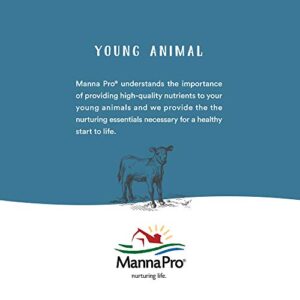 Manna Pro Cool Omega 40+ | Equine Dry Fat and Protein Supplement | 8 Pounds