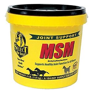 richdel 784299400405 msm powder joint support for horses, 4 lb