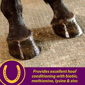 Horse Health Joint Combo Hoof & Coat, Convenient 3-in-1 horse joint supplement provides complete joint, hoof and coat care, 8 lb., 64 day supply