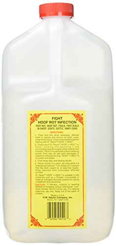 Dr. Naylor Hoof n' Heel (16 oz.) - Traditional Foot Rot Treatment