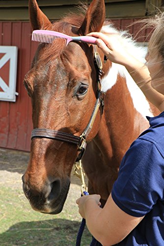 Oster 827570 Equine Care Series Mane & Tail Comb Pink