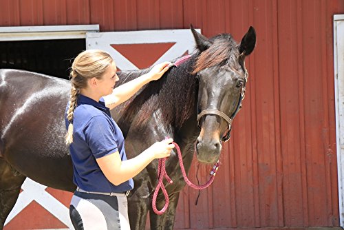 Oster 827570 Equine Care Series Mane & Tail Comb Pink