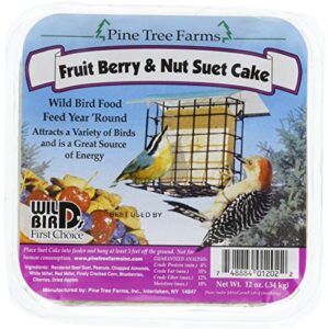 Pine Tree 1202 Fruit Berry and Nut Suet Cake, 12-Ounce