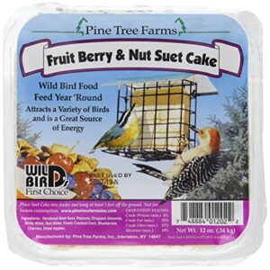 Pine Tree 1202 Fruit Berry and Nut Suet Cake, 12-Ounce