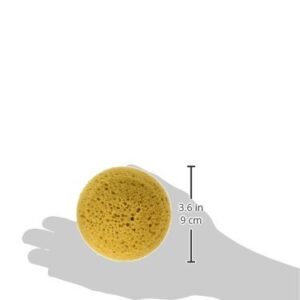 Hydra Sponge 074152 Honeycomb Tack Sponge Small