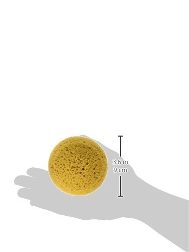 Hydra Sponge 074152 Honeycomb Tack Sponge Small