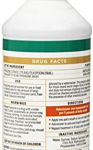 Durvet WormEze Liquid Canine & Feline Antihelmintic, 8 oz