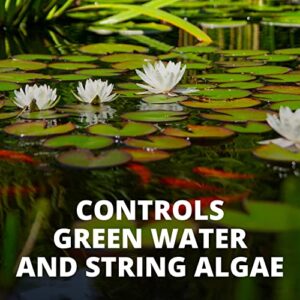 Tetra Pond AlgaeControl , 16.9 ounces, Controls Algae in Ornamental Outdoor Ponds and Fountains