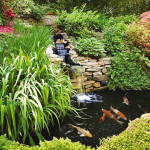 Tetra Pond AlgaeControl , 16.9 ounces, Controls Algae in Ornamental Outdoor Ponds and Fountains