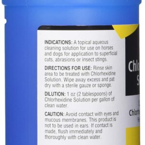 Durvet B000HHSD8M n Chlorhexidine 2% Solution, 16 fl. oz