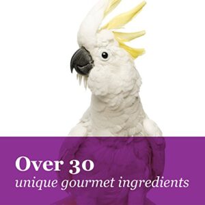 Tropical Carnival F.M. Brown's Gourmet Macaw Food Big Bites for Big Beaks, Vitamin-Nutrient Fortified Daily Diet with Probiotics for Digestive Health - 14lb