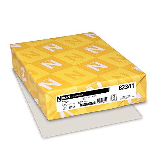 Neenah Wausau Paper 82341 Vellum Bristol Cover Stock, 8-1/2 x 11, 67-lb., Gray, 250 Sheets/Pack