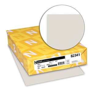 Neenah Wausau Paper 82341 Vellum Bristol Cover Stock, 8-1/2 x 11, 67-lb., Gray, 250 Sheets/Pack