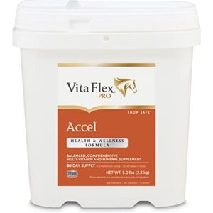 Vita Flex Accel Health and Wellness Formula, 80 Day Supply, 5 lbs