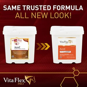 Vita Flex Accel Health and Wellness Formula, 80 Day Supply, 5 lbs