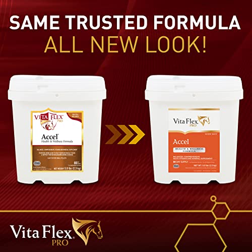 Vita Flex Accel Health and Wellness Formula, 80 Day Supply, 5 lbs