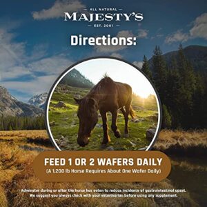 Majesty's Omega Wafers - Superior Horse / Equine Skin, Coat, and Immune Support Supplement - Omega 3, 6, 9, and Biotin - 60 Count (2 Month Supply)