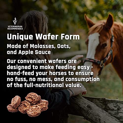 Majesty's Omega Wafers - Superior Horse / Equine Skin, Coat, and Immune Support Supplement - Omega 3, 6, 9, and Biotin - 60 Count (2 Month Supply)