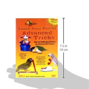 Feathered Phonics Teach Your Parrot Series DVD 4: Advanced Tricks