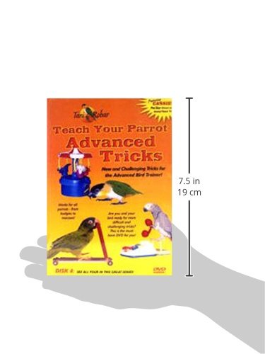 Feathered Phonics Teach Your Parrot Series DVD 4: Advanced Tricks