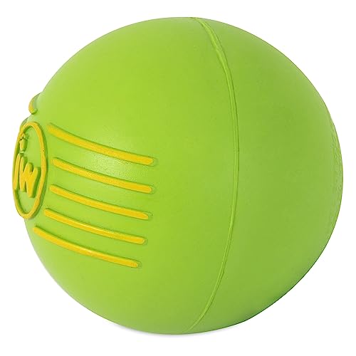 JW Squeak-ee Ball Puppy Toy