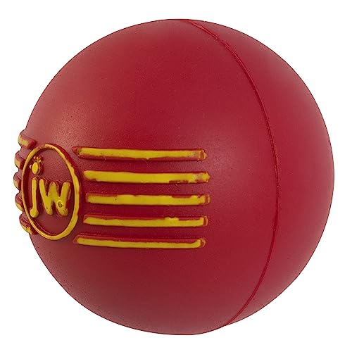 JW Squeak-ee Ball Puppy Toy