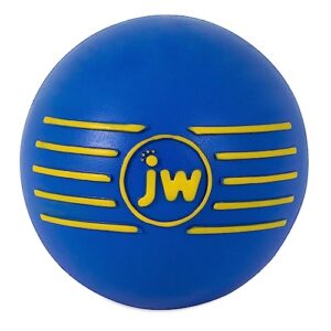 JW Squeak-ee Ball Puppy Toy