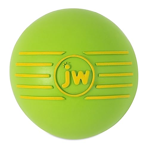 JW Squeak-ee Ball Puppy Toy