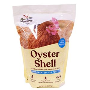 manna pro crushed oyster shell - calcium supplement for laying hens - chicken feed for egg-laying chickens - 5 lbs