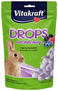 vitakraft drops rabbit treat - wild berry - yogurt treats for rabbits purple 5.3 ounce (pack of 1)