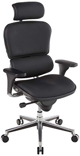 Ergohuman Ergonomic Executive Leather Chair, Black