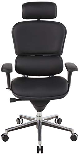 Ergohuman Ergonomic Executive Leather Chair, Black