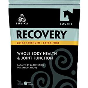 Recovery EQ with Hyaluronic Acid, 2.2 lbs (1 Kg)