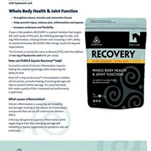 Recovery EQ with Hyaluronic Acid, 2.2 lbs (1 Kg)