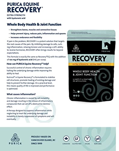 Recovery EQ with Hyaluronic Acid, 2.2 lbs (1 Kg)