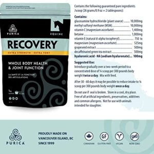 Recovery EQ with Hyaluronic Acid, 2.2 lbs (1 Kg)