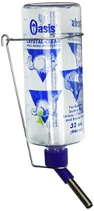 kordon/oasis (novalek) soa80800 rabbit water bottle, 32-ounce, clear