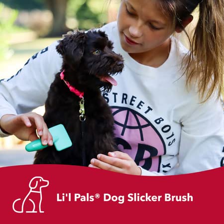 Coastal Pet Li'l Pals Dog Slicker Brush with Coated Tips - Dog Grooming Brush for Small Breeds & Puppies - One Size