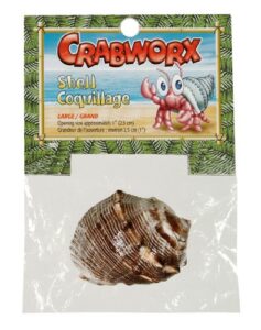 crabworx shell, large