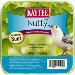 Kaytee Nutty High Energy Suet 11.75 Ounces