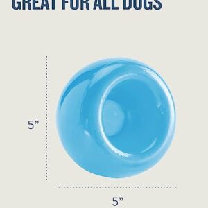 Planet Dog Orbee-Tuff Snoop Interactive Treat Dispensing Dog Toy, Large, Blue