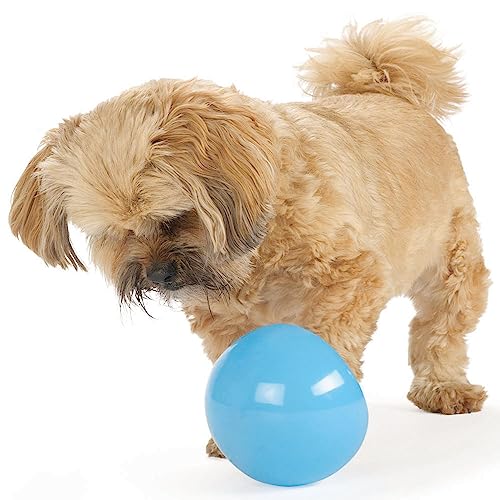 Planet Dog Orbee-Tuff Snoop Interactive Treat Dispensing Dog Toy, Large, Blue