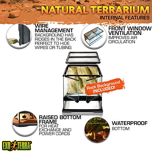 Exo Terra Glass Terrarium Kit, for Reptiles and Amphibians, Mini Wide, 12 x 12 x 12 Inches, PT2600A1