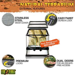 Exo Terra Glass Terrarium Kit, for Reptiles and Amphibians, Mini Wide, 12 x 12 x 12 Inches, PT2600A1