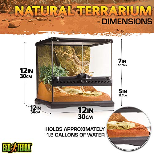 Exo Terra Glass Terrarium Kit, for Reptiles and Amphibians, Mini Wide, 12 x 12 x 12 Inches, PT2600A1