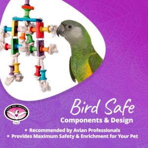 Super Bird Creations SB468 Dancing Spools Bird Toy, Medium Bird Size, 13" x 8" x 2"