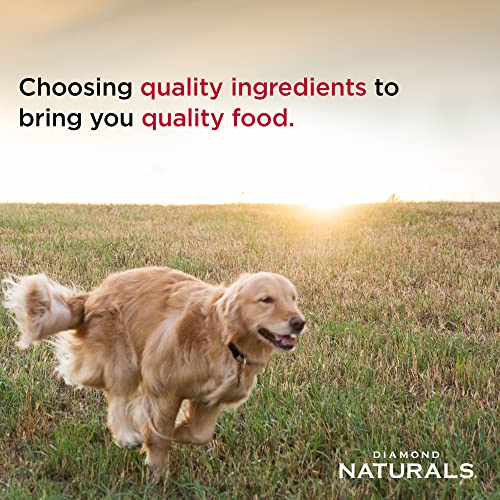 Diamond Naturals All Life Stages Chicken and Rice Formula Dry Dog Food Protein from Real Chicken, and Probiotics